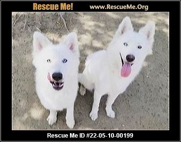 - Alaska Dog Rescue - ADOPTIONS - Rescue Me!