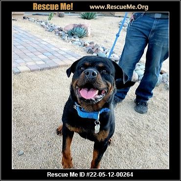 - Arizona Rottweiler Rescue - ADOPTIONS - Rescue Me!