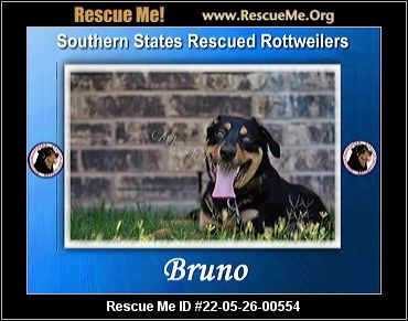 - Texas Rottweiler Rescue - ADOPTIONS - Rescue Me!
