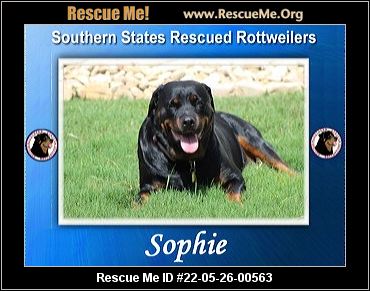 - Texas Rottweiler Rescue - ADOPTIONS - Rescue Me!