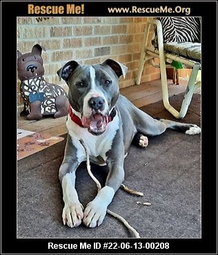 - Tennessee Pit Bull Rescue - ADOPTIONS - Rescue Me!