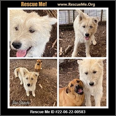 - Oregon Dog Rescue - ADOPTIONS - Rescue Me!