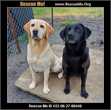 - Oregon Dog Rescue - ADOPTIONS - Rescue Me!