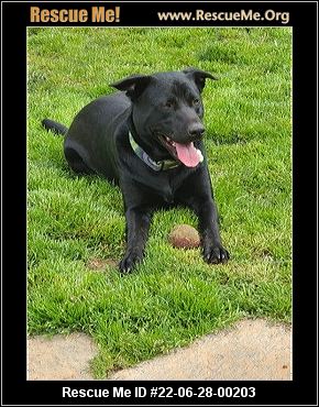 - Oregon Dog Rescue - ADOPTIONS - Rescue Me!