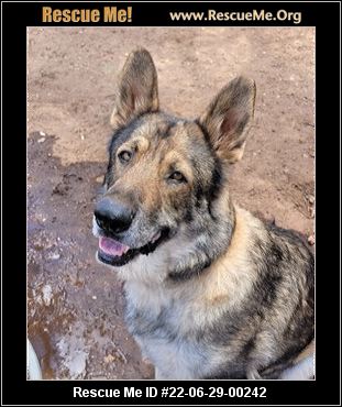 - Texas German Shepherd Rescue - ADOPTIONS - Rescue Me!