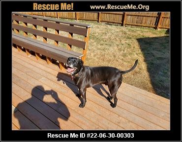 - Alaska Dog Rescue - ADOPTIONS - Rescue Me!