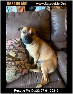 - Georgia Boxer Rescue - ADOPTIONS - Rescue Me!