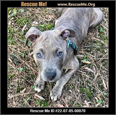 - Maryland Dog Rescue - ADOPTIONS - Rescue Me!