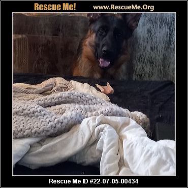- Oregon Dog Rescue - ADOPTIONS - Rescue Me!