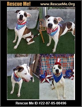 - Pennsylvania Dog Rescue - ADOPTIONS - Rescue Me!