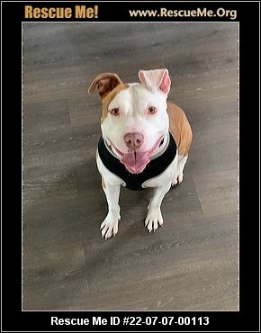 - Indiana Dog Rescue - ADOPTIONS - Rescue Me!