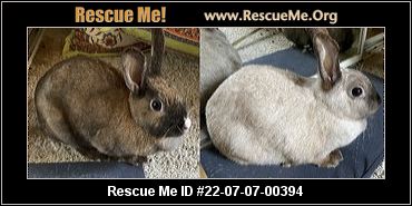 - California Rabbit Rescue - ADOPTIONS - Rescue Me!