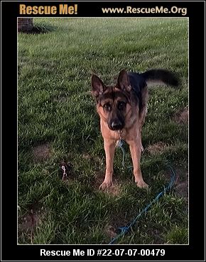 - Pennsylvania German Shepherd Rescue - ADOPTIONS - Rescue Me!