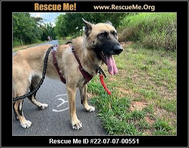 - South Carolina Dog Rescue - ADOPTIONS - Rescue Me!
