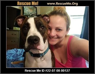 - North Carolina Dog Rescue - ADOPTIONS - Rescue Me!