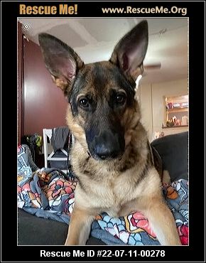 - Pennsylvania German Shepherd Rescue - ADOPTIONS - Rescue Me!