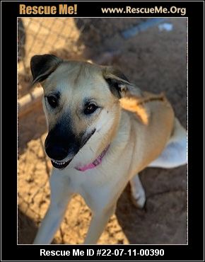 - Arizona Dog Rescue - ADOPTIONS - Rescue Me!