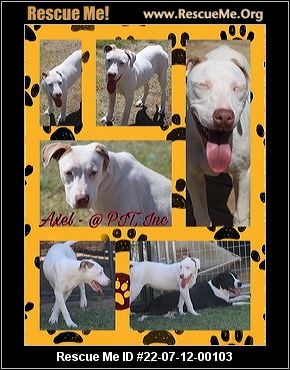 - Oklahoma Dog Rescue - ADOPTIONS - Rescue Me!