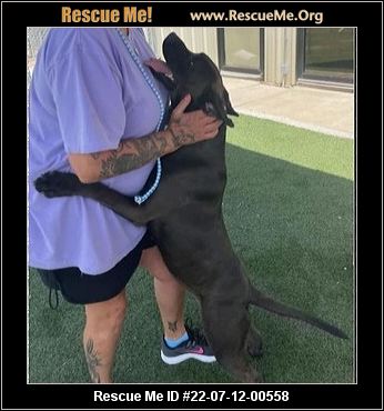 - North Carolina Dog Rescue - ADOPTIONS - Rescue Me!