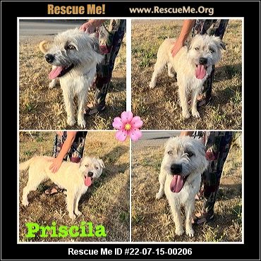 - Oregon Dog Rescue - ADOPTIONS - Rescue Me!