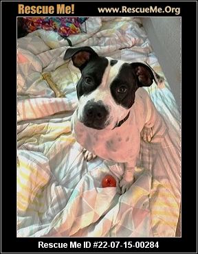 - North Carolina Dog Rescue - ADOPTIONS - Rescue Me!