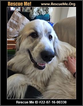 - Oregon Dog Rescue - ADOPTIONS - Rescue Me!