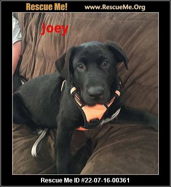 - Alabama Dog Rescue - ADOPTIONS - Rescue Me!