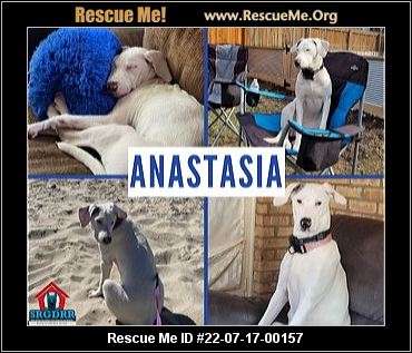 - Oregon Dog Rescue - ADOPTIONS - Rescue Me!