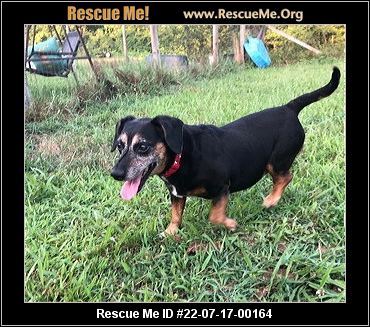 - Maryland Dog Rescue - ADOPTIONS - Rescue Me!