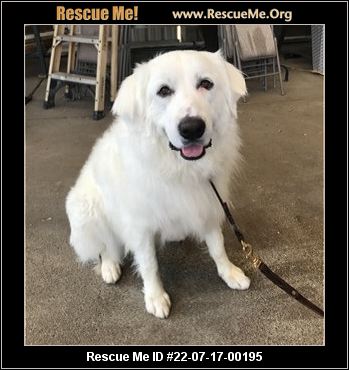 - California Dog Rescue - ADOPTIONS - Rescue Me!