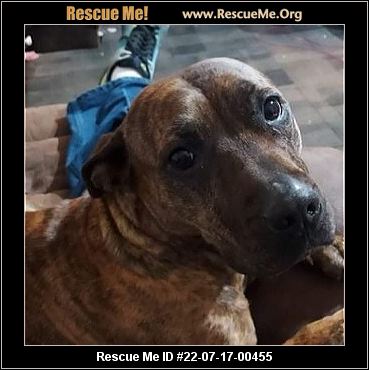 - Georgia Dog Rescue - ADOPTIONS - Rescue Me!