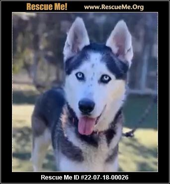 - Alaska Dog Rescue - ADOPTIONS - Rescue Me!