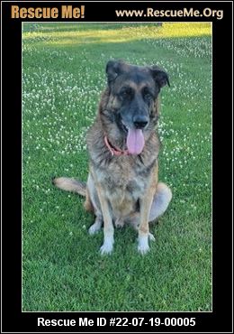 - Indiana German Shepherd Rescue - ADOPTIONS - Rescue Me!