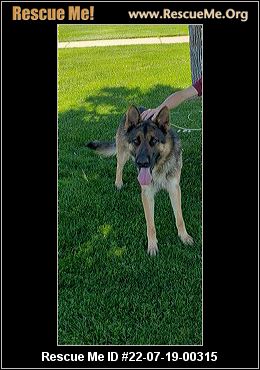 - Nevada Dog Rescue - ADOPTIONS - Rescue Me!