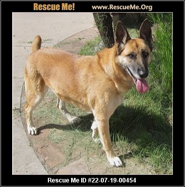 - New Mexico Dog Rescue - ADOPTIONS - Rescue Me!