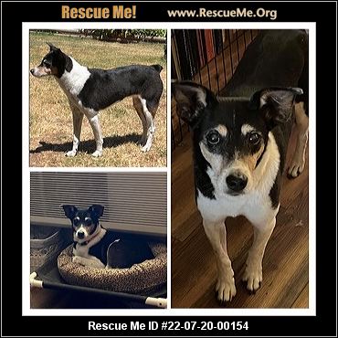 - Oklahoma Dog Rescue - ADOPTIONS - Rescue Me!