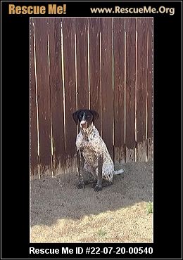 - Nevada Dog Rescue - ADOPTIONS - Rescue Me!