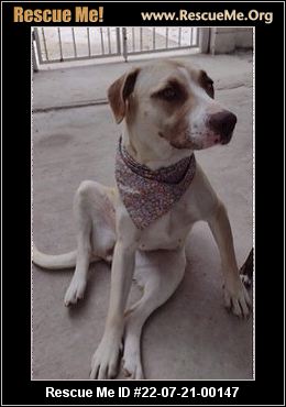 - Maryland Dog Rescue - ADOPTIONS - Rescue Me!