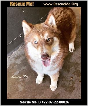 - Oregon Dog Rescue - ADOPTIONS - Rescue Me!