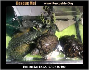 - Illinois Reptile/Amphibian Rescue - ADOPTIONS - Rescue Me!