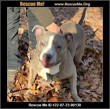 - Pennsylvania Dog Rescue - ADOPTIONS - Rescue Me!