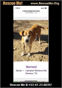 - Texas Mutt Rescue - ADOPTIONS - Rescue Me!