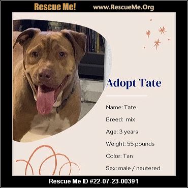 - Florida Dog Rescue - ADOPTIONS - Rescue Me!