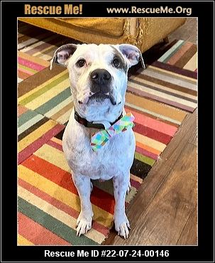 - Texas Dog Rescue - ADOPTIONS - Rescue Me!