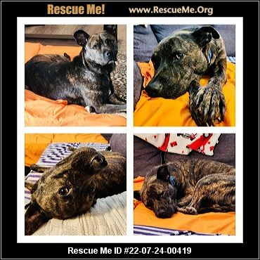- Pennsylvania Dog Rescue - ADOPTIONS - Rescue Me!