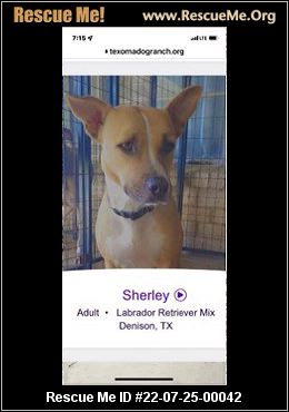 - Texas Mutt Rescue - ADOPTIONS - Rescue Me!