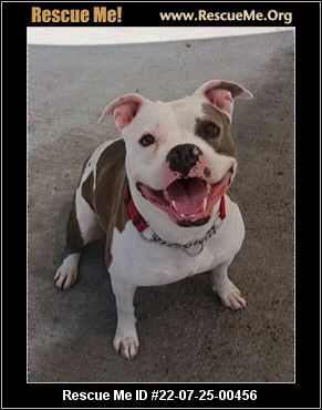 - Pennsylvania Dog Rescue - ADOPTIONS - Rescue Me!