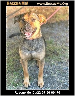- South Carolina Dog Rescue - ADOPTIONS - Rescue Me!