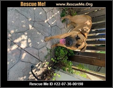 - California Dog Rescue - ADOPTIONS - Rescue Me!