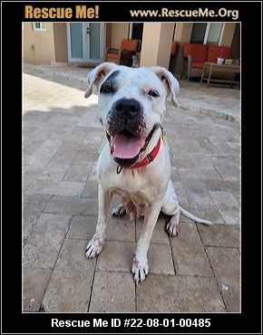 - Florida Boxer Rescue - ADOPTIONS - Rescue Me!